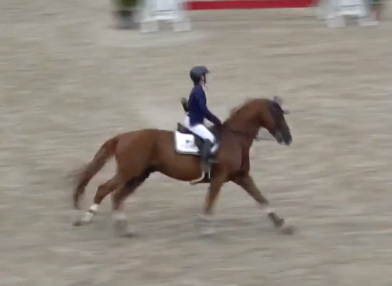 Deirdre Reilly and Derryglen Othello Placed 6th in Vejer de Fronter 4 ...